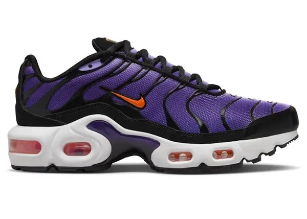 Nike Air Max Plus Og