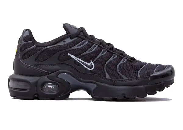 Nike Air Max Plus Sneakers - Black/pure Platinum