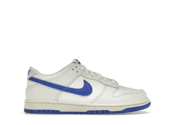 Nike Low Top Sneakers