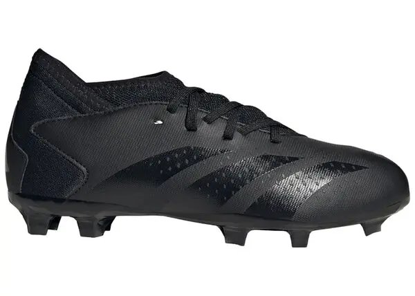 Adidas Predator Accuracy.3 Fg - Core Black/cloud White