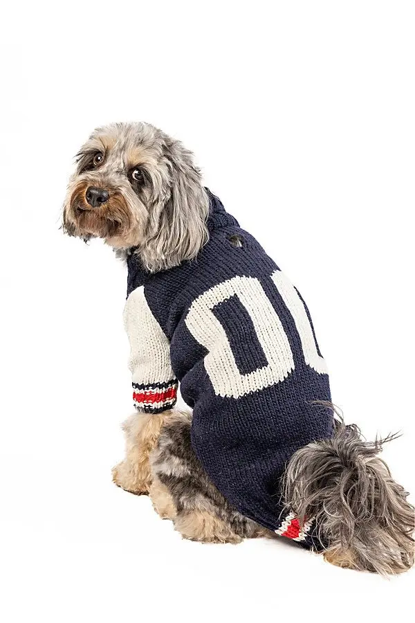 CHILLY DOG Varsity Dog Sweater