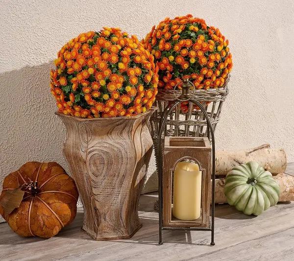 WICKER PARK As Is S/2 Oversized Harvest Faux Mum Spheres