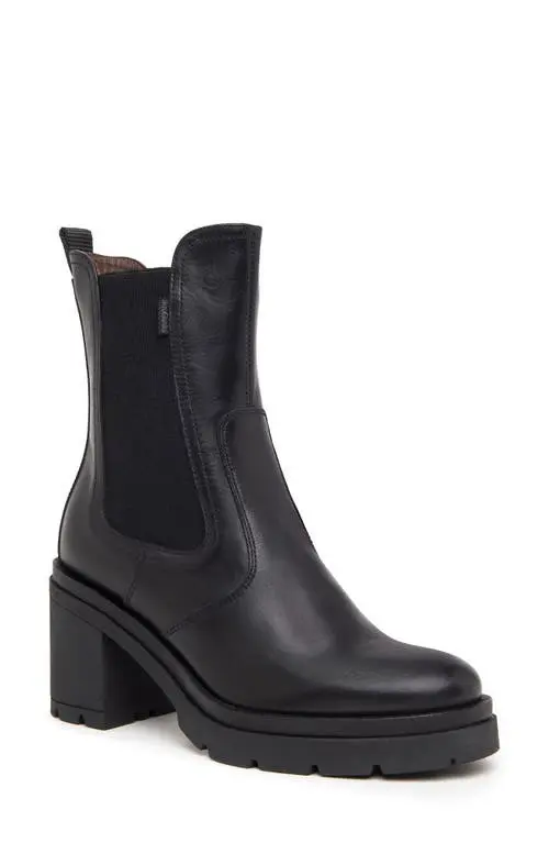 NEROGIARDINI Lug Sole Chelsea Boot - Black