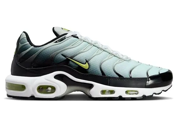 Nike Air Max Plus Sneakers