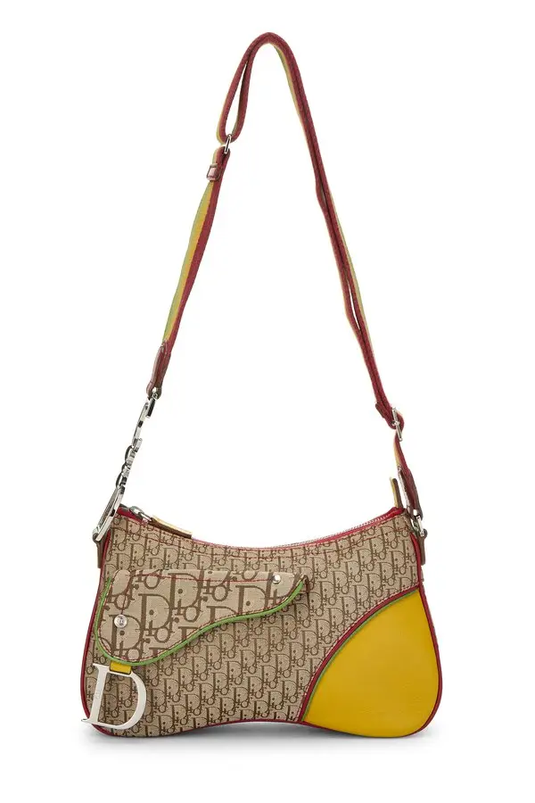 Dior Trotter Canvas Rasta Double Saddle Bag
