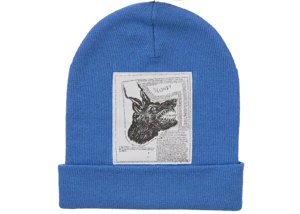 Supreme The North Face Beanie - Blue
