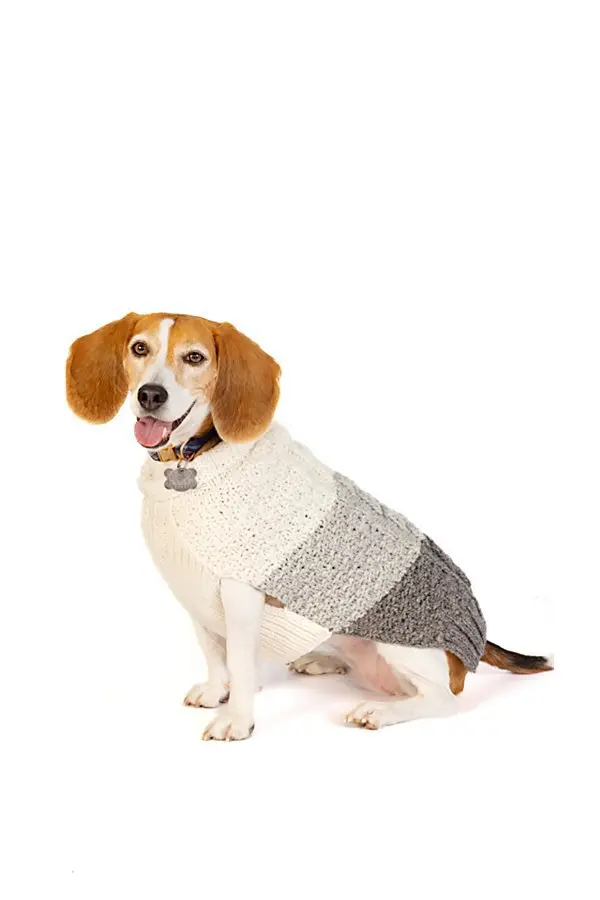 CHILLY DOG Color Block Cable Dog Sweater