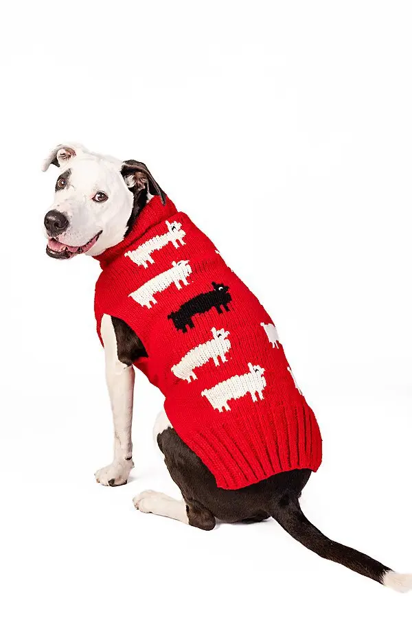 CHILLY DOG Sheep Dog Sweater