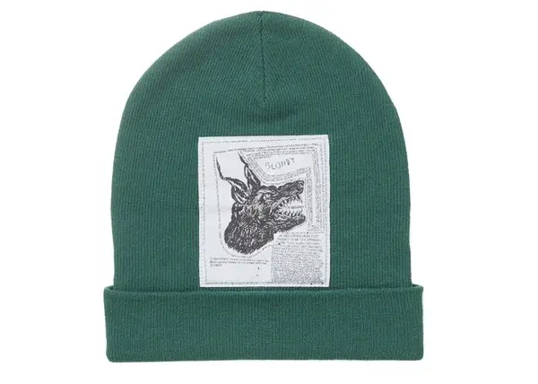 Supreme The North Face Beanie - Green
