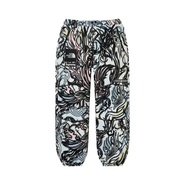 Supreme X The North Face Steep Tech Pant