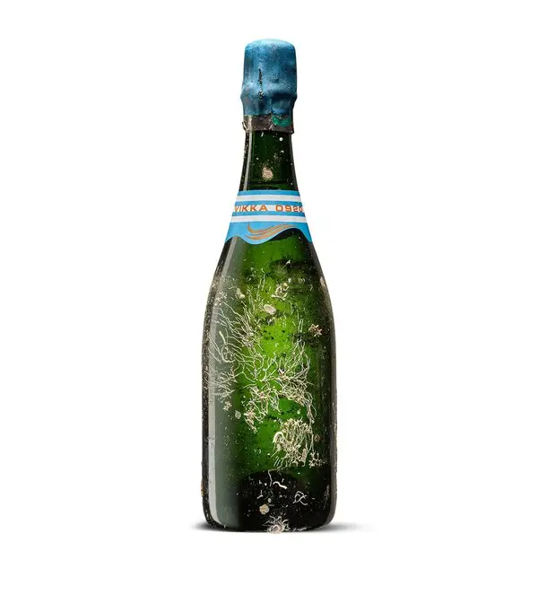 HOSTOMME Vikka Champagne 2010 Champagne, France