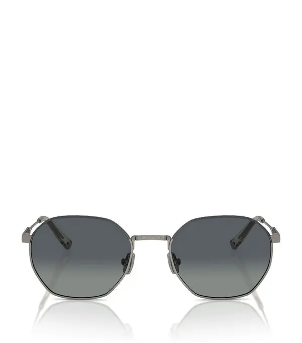 Brunello Cucinelli Bc2003st Titanium Sunglasses - Grey