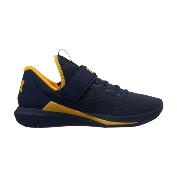 JORDAN Trainer 3 Michigan - Blue