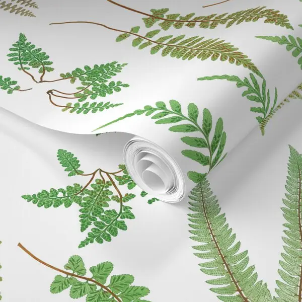 Spoonflower Fern Botanical White Green Leaves Forest Plants Traditional Wallpaper