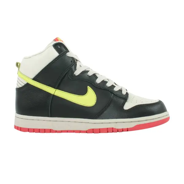 Nike Wmns Dunk Hi Sneakers - Black