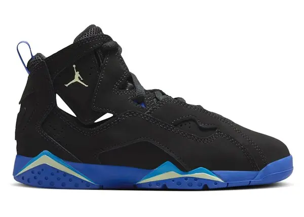 JORDAN True Flight Sneakers