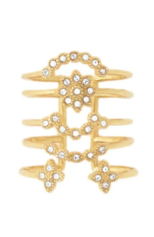 Maje Precious Day Ring