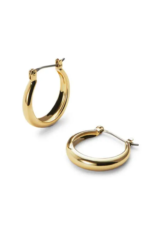 ANA LUISA Hoop Earrings
