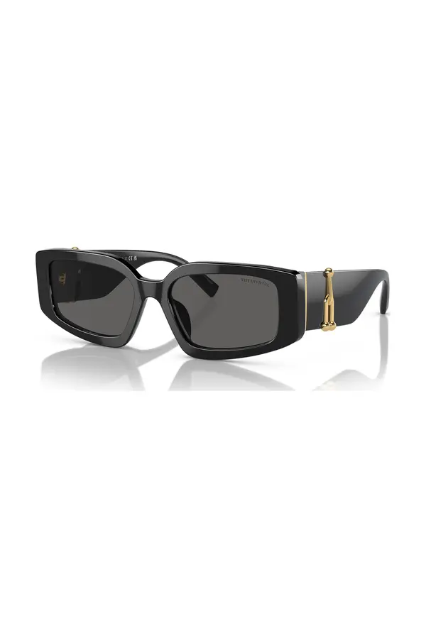 TIFFANY SUNGLASS HUT Tiffany & Co. Rectangle Sunglasses