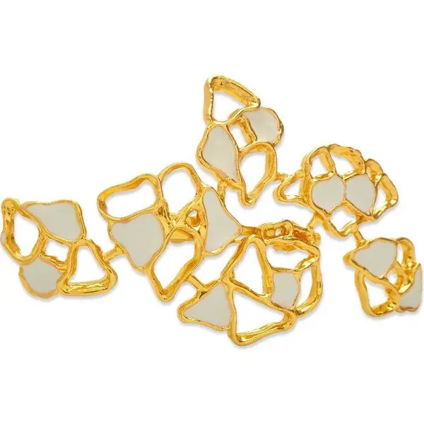 DHWANI BHANSAL Gaia Brooch