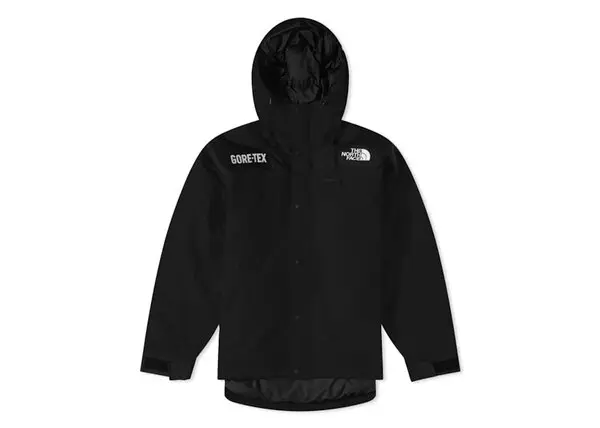 The North Face Gore-tex Mountain Jacket