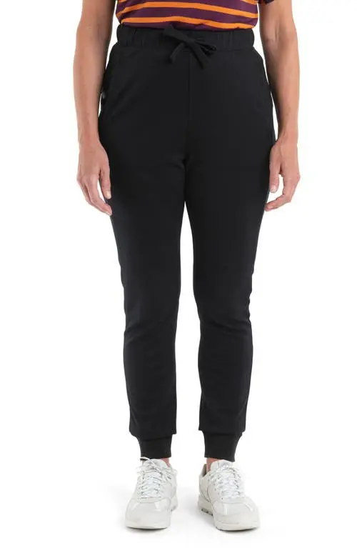 Icebreaker Crush Ii Joggers