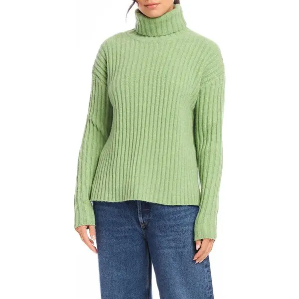 Fifteen Twenty Claudia Ribbed Turtleneck Sweater