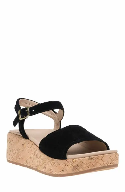 ABEO Solstice Buckle Sandal - Black Suede - Metatarsal
