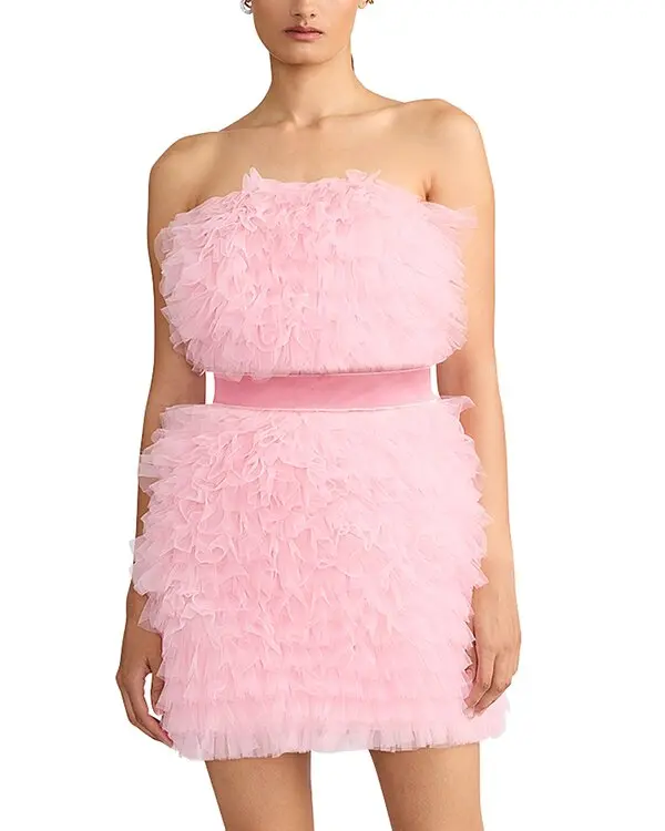 Zac Posen Wicked X Textured Tulle Mini Dress