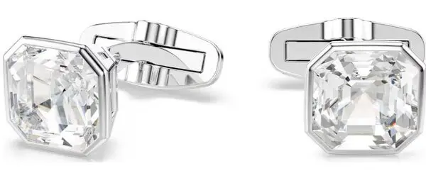 SWAROVSKI Crystal Studded Hoop Earrings