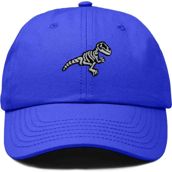 DALIX Fossil Embroidered Cap - Royal Blue