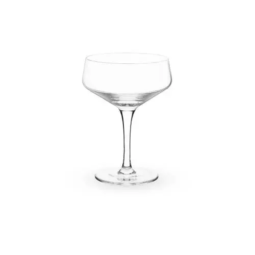 VISKI Raye Crystal Angled Coupe Glasses Set Of 2
