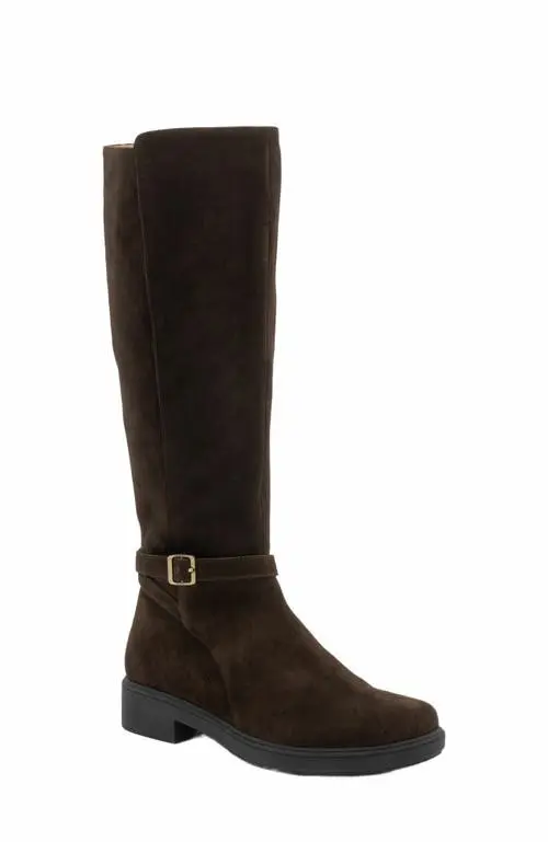ABEO Compass Tall Boot - Dark Brown - Regular