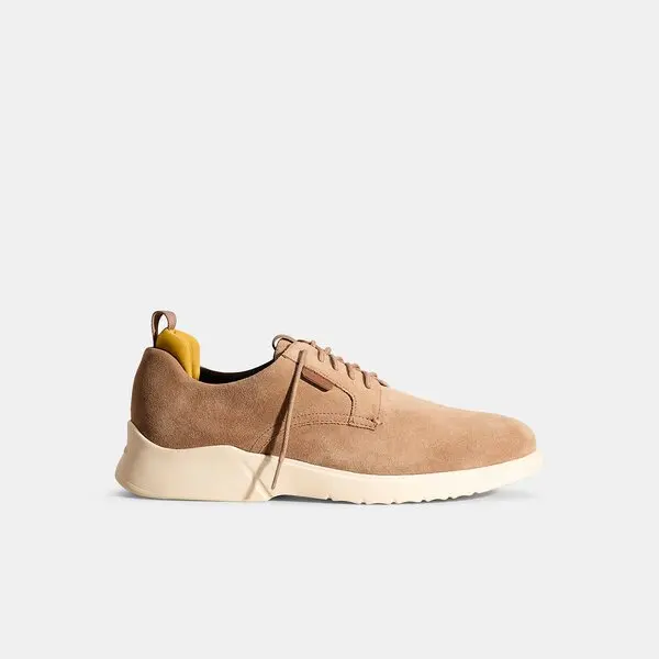 Coach Restored Citysole Derby