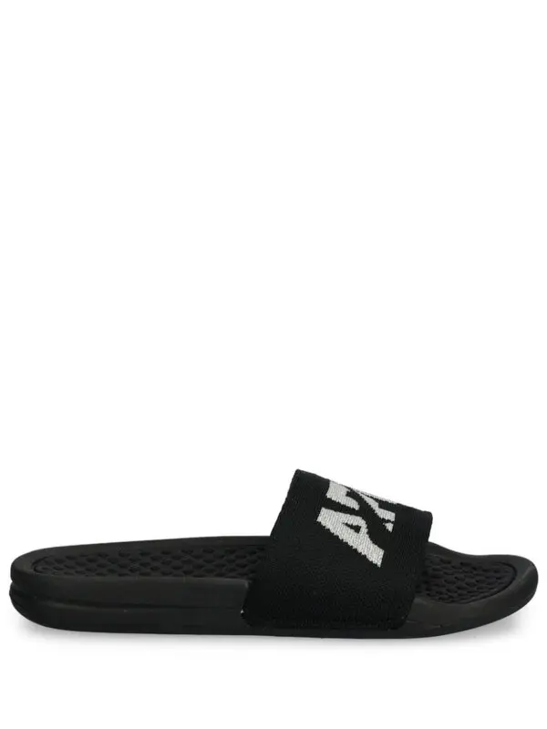 Apl Big Logo Techloom Slides