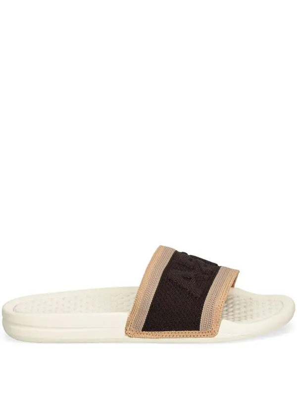 Apl Big Logo Techloom Slides - Brown
