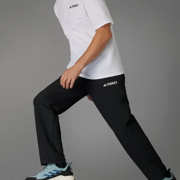 Adidas Terrex Multi Liteflex Pants - Black