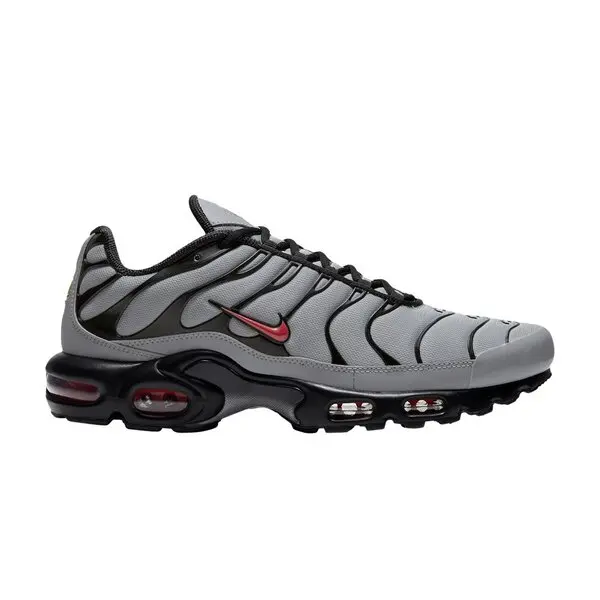 Nike Air Max Plus Sneakers - Grey
