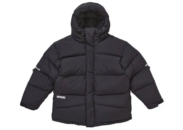Supreme Goretex 900fill Down Parka Jacket