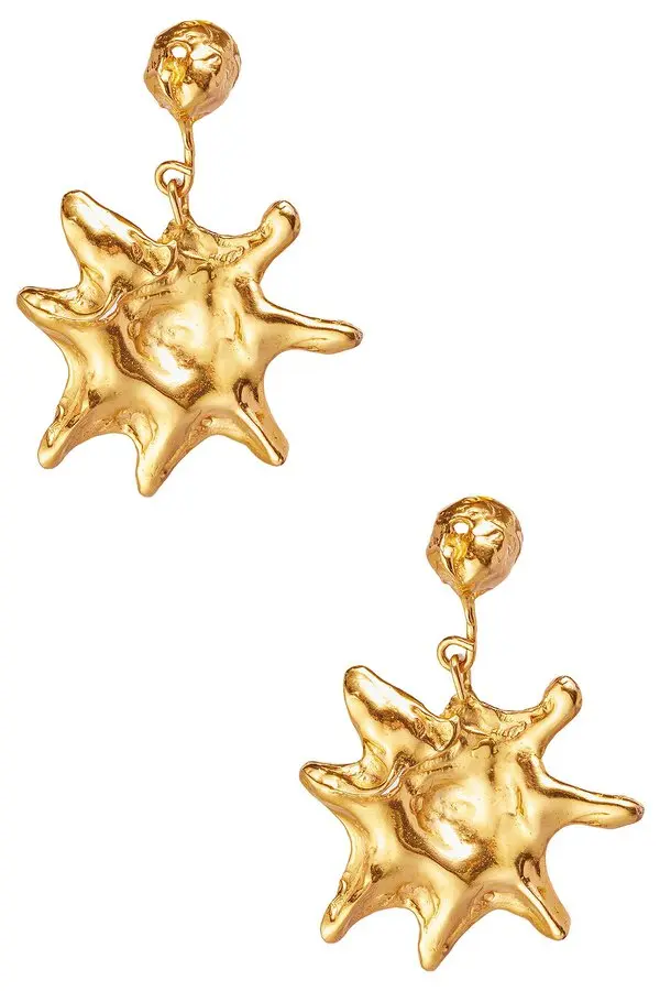SIMUERO Astro Earrings