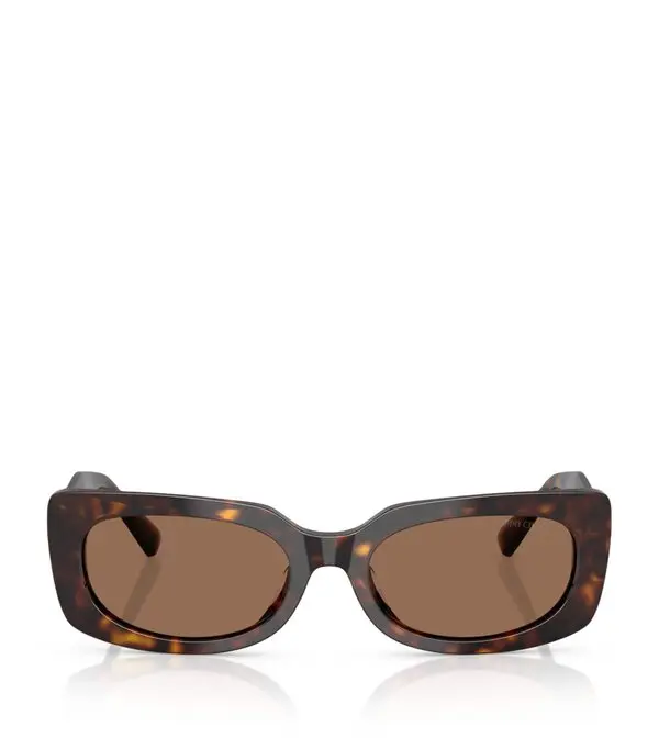 JIMMY CHOO Acetate Sunglasses - Brown