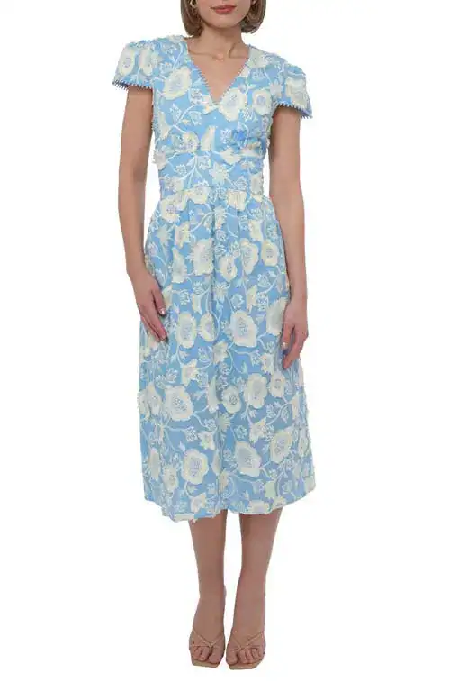 Adelyn Rae Nori Embroidered A-Line Midi Dress In Blue/Cream - 70% Off |  Editorialist