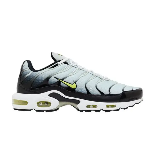 Nike Air Max Plus Sneakers - Blue