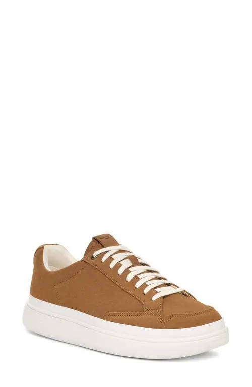 UGG South Bay Low Sneaker - Chestnut