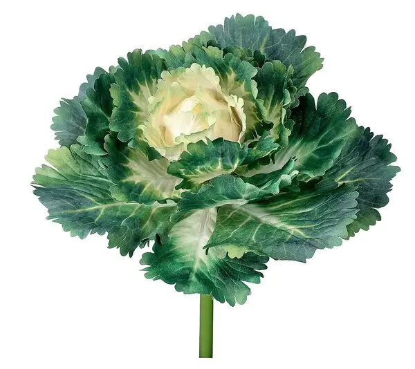 VALERIE PARR HILL Kale Pick 7.25 Set Of 2 Valerie