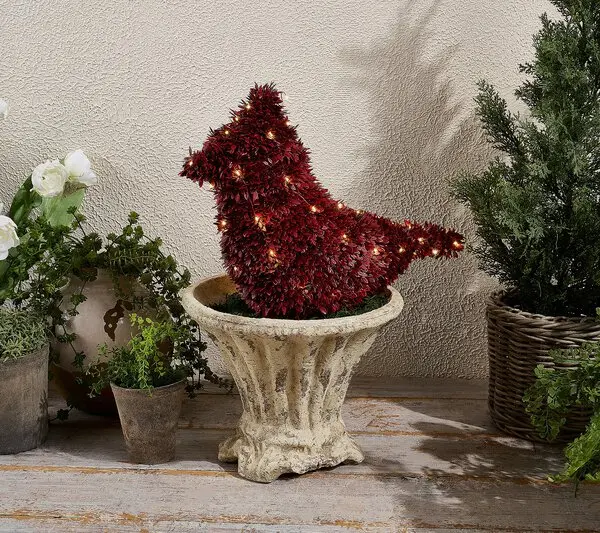 MARIGOLD 17' Cardinal Topiary W/ Battery Operated Lights