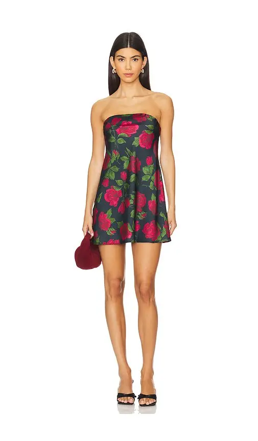 Show Me Your Mumu Taylor Tube Mini Dress - Send Me Roses