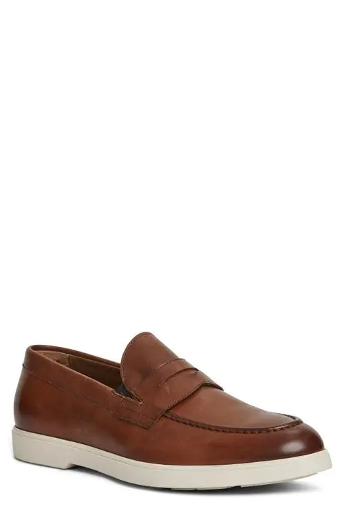 Bruno Magli Ettore Penny Loafer - Cognac