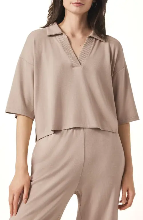 Splendid Brooke Johnny Collar Top - Fawn