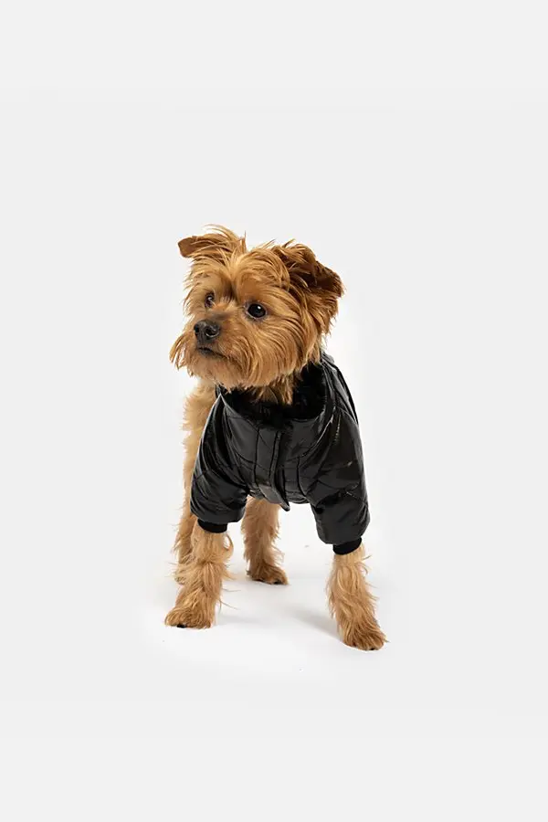 SILVER PAW Phoenix Dog Jacket - Black